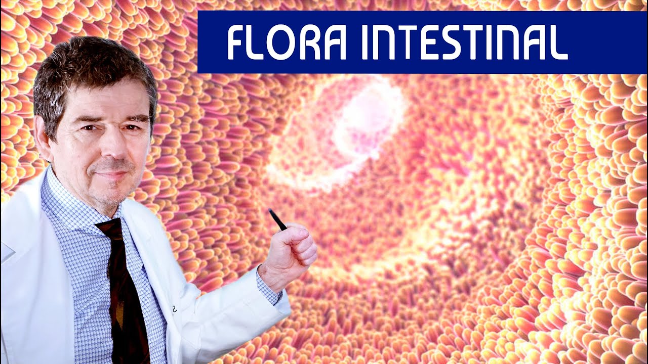Descubre dónde se encuentra la flora intestinal y su impacto en tu salud